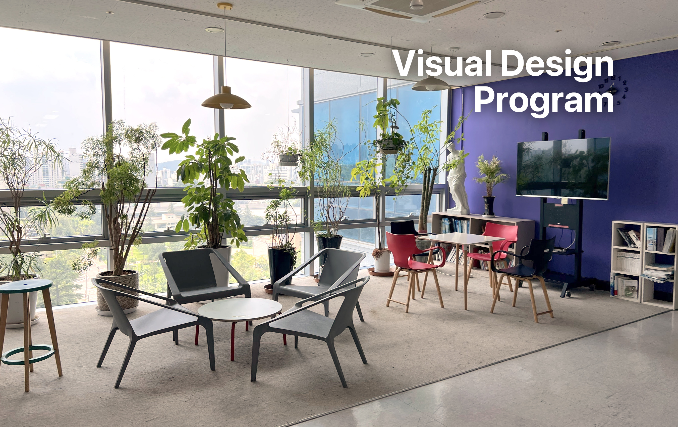 Visual Design Program